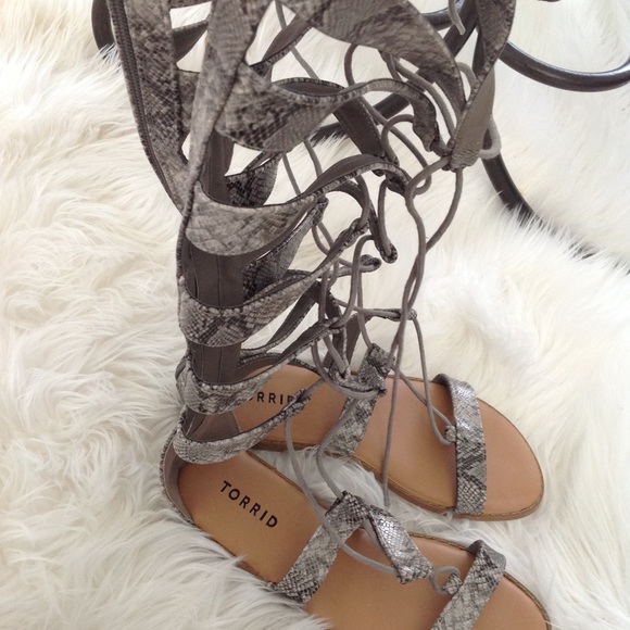 torrid | Shoes | New Torrid Snakeskin Leather Knee High Gladiator 6 ...